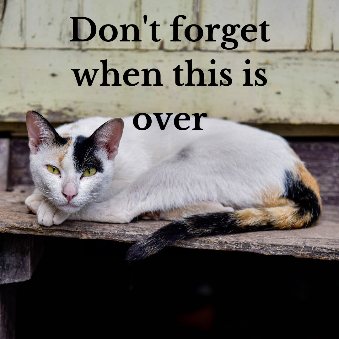 Don’t forget when this is over – Paper Beats World