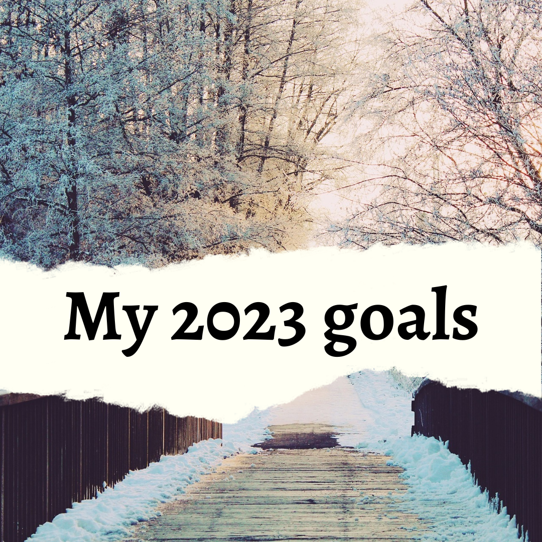 My 2023 goals – Paper Beats World