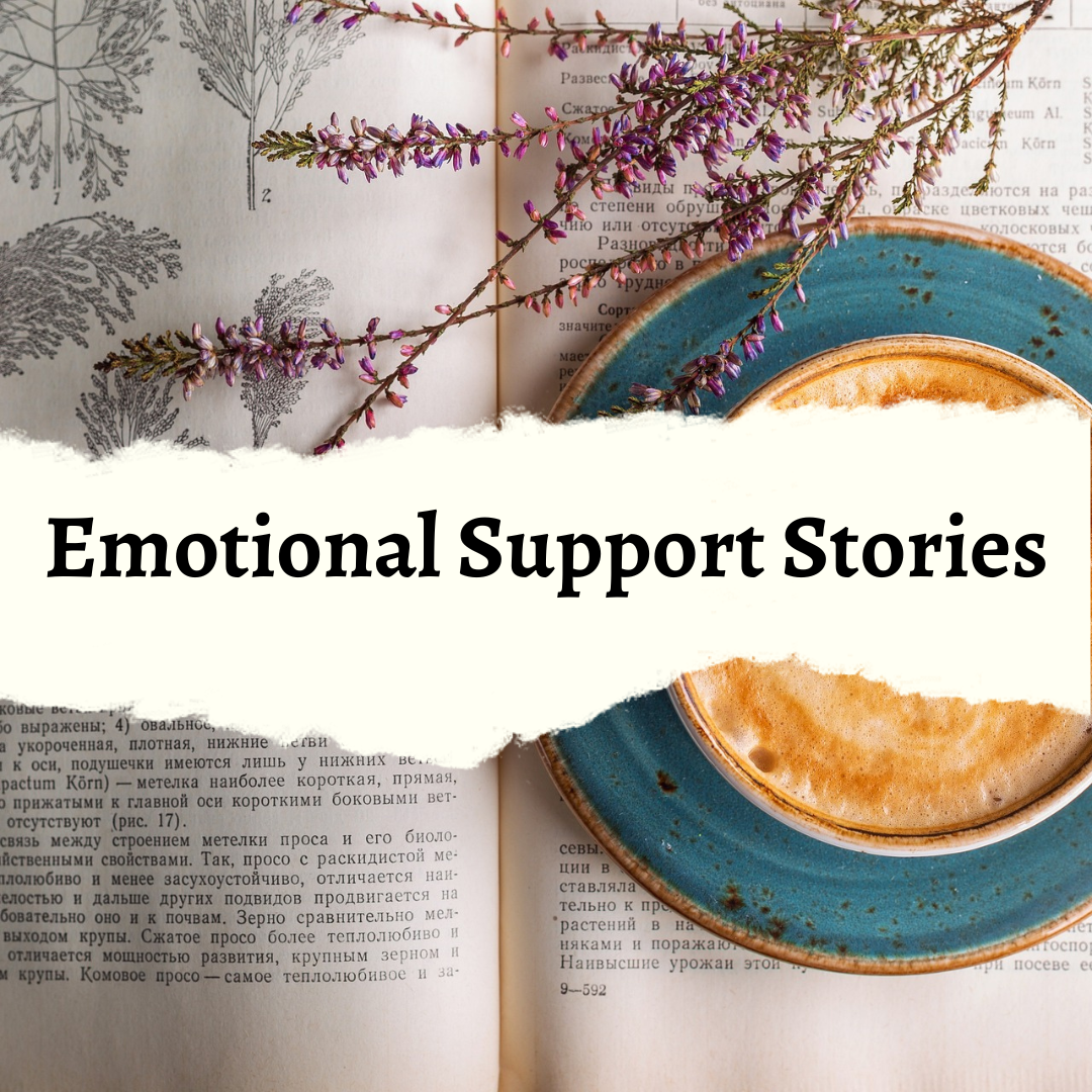 Emotional Support Stories – Paper Beats World